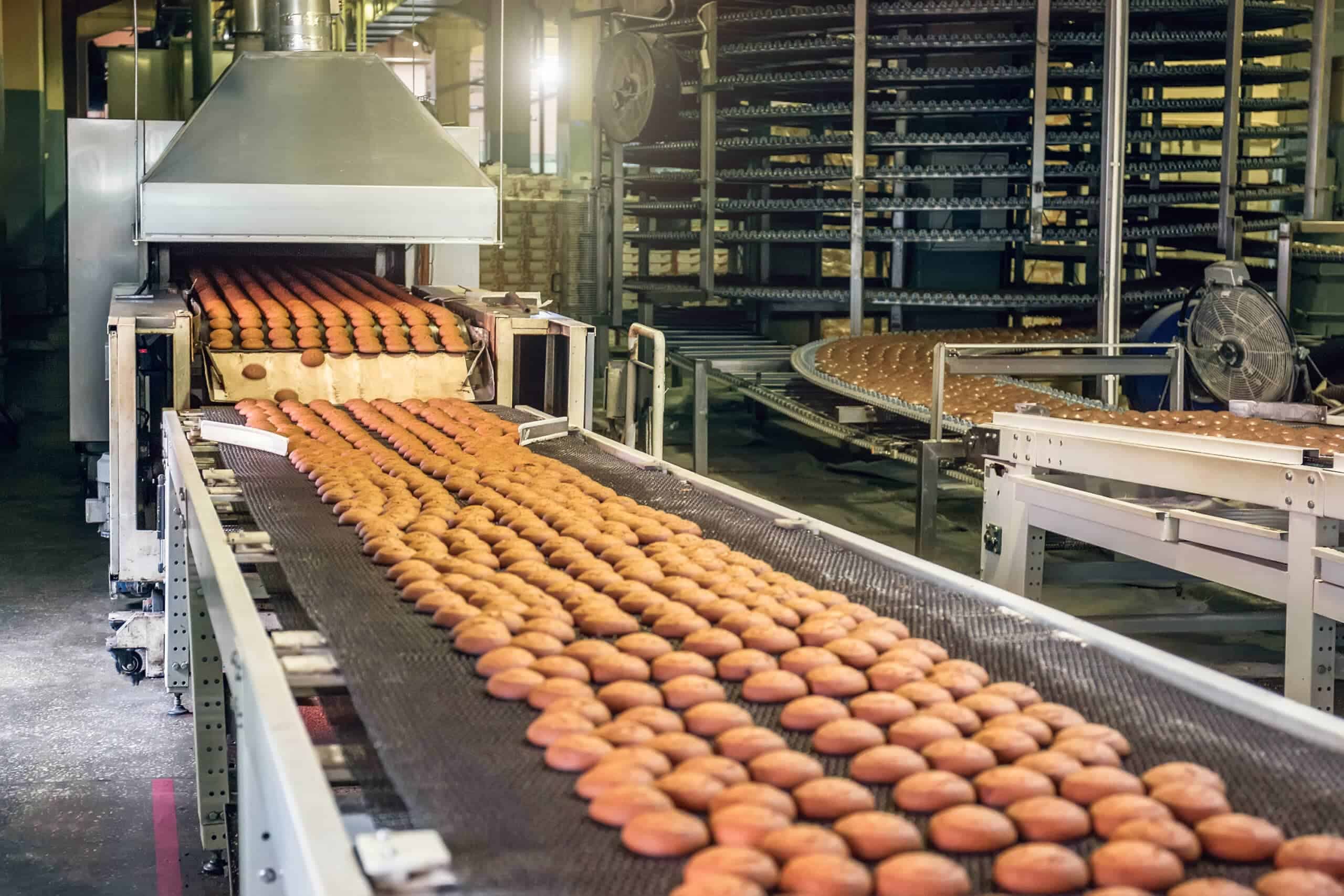 Warning Signs of Dirty Food Manufacturing Plant | AECS